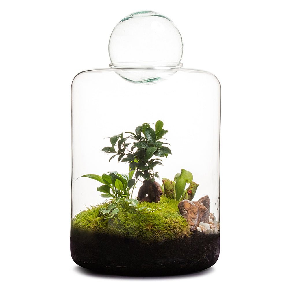 Handmade Terrariums and Indoor Plants | Lulu & Angel | Melbourne