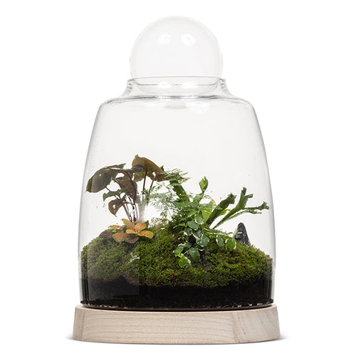 Handmade Terrariums | Lulu & Angel | Melbourne