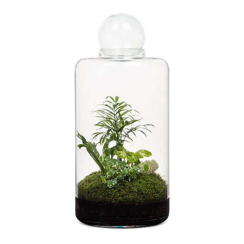 Terrariums, Planters, Orchids & More | Lulu & Angel | Melbourne